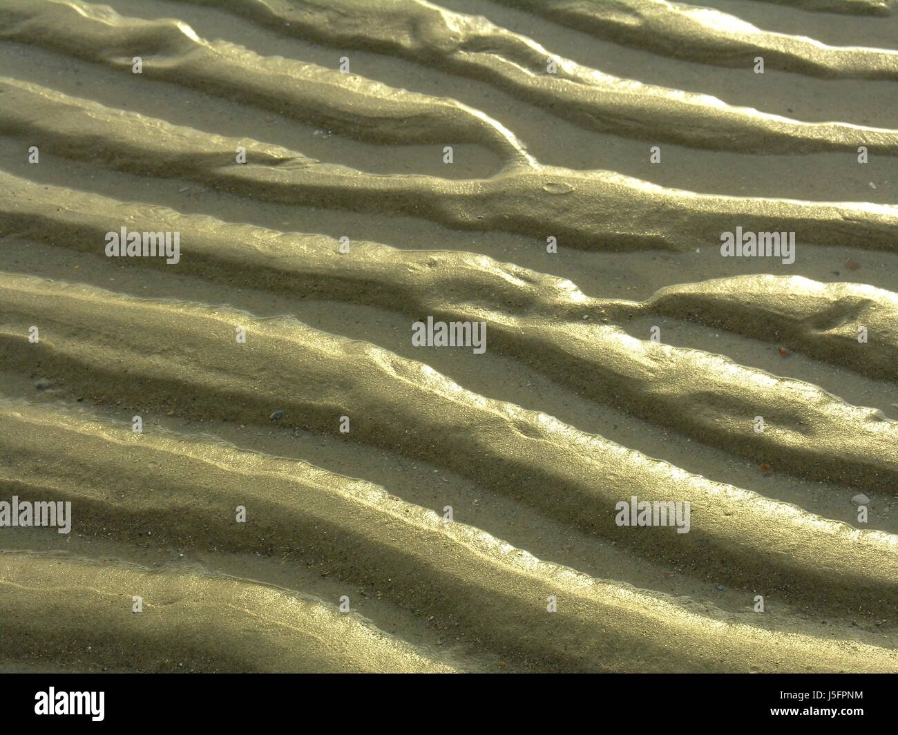 Boden Boden Erde Humus Strand Meer Strand Meer Welle Flut watt ...