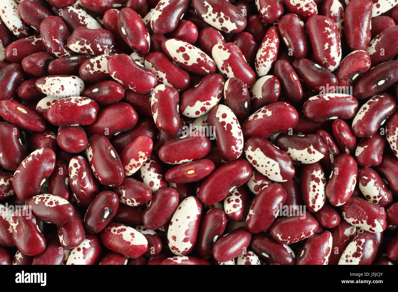 Gesprenkelte kidneybohnen -Fotos und -Bildmaterial in hoher Auflösung ...