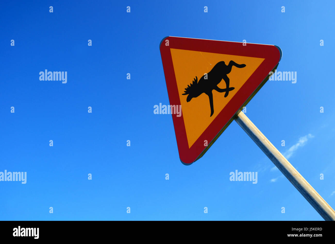 Elch schild -Fotos und -Bildmaterial in hoher Auflösung – Alamy