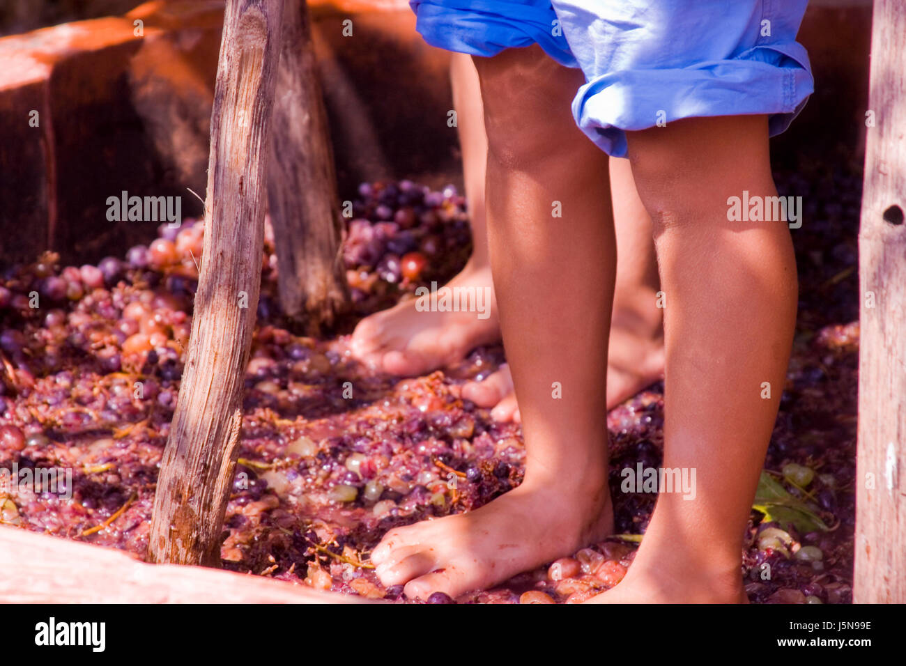 Wein stampfen Stockfotos und -bilder Kaufen - Alamy