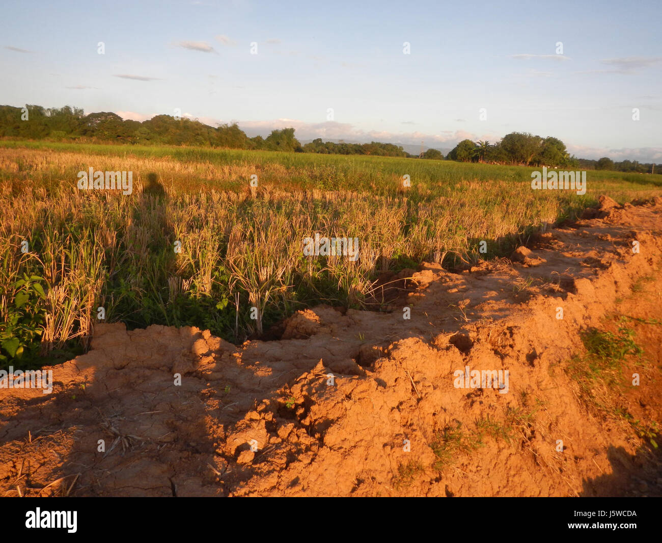01995 Plaridel Bypass Road arterielle Bypass Projekt, Phase II San ...