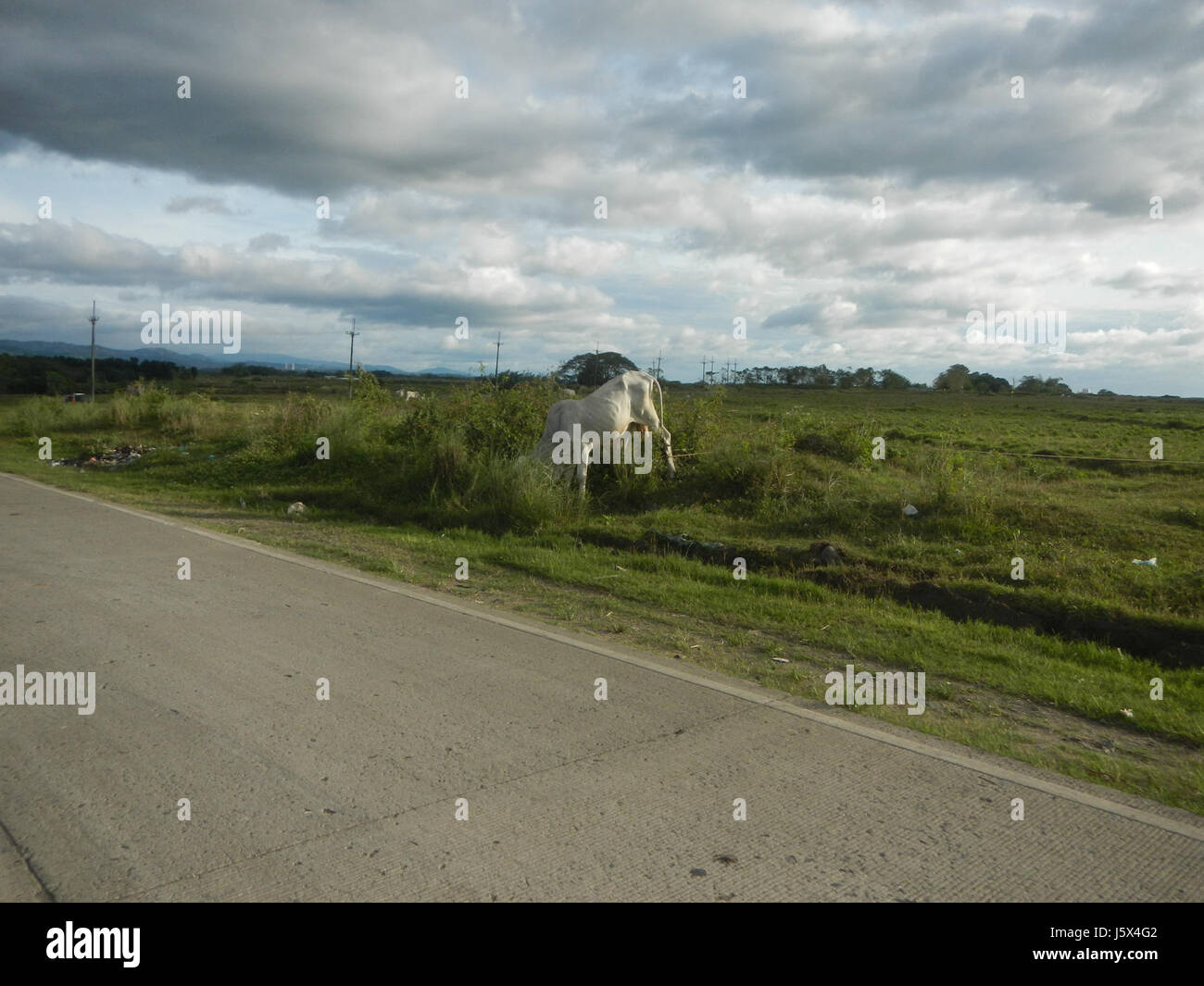 01649 Biak-Na-Bato Salangan Santa Rita Camias San Juan San Miguel ...