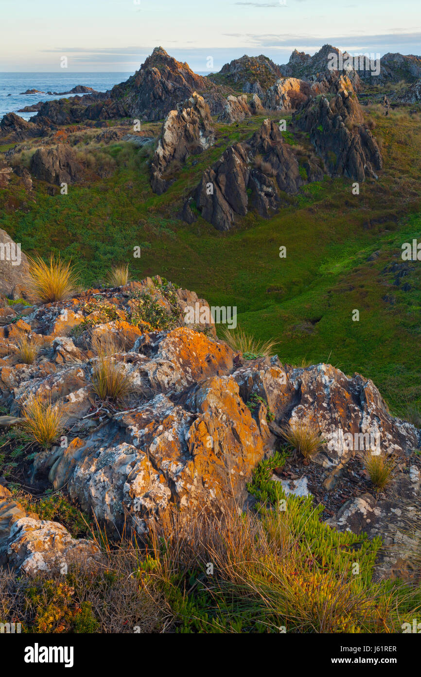 Sarah anne felsen -Fotos und -Bildmaterial in hoher Auflösung – Alamy