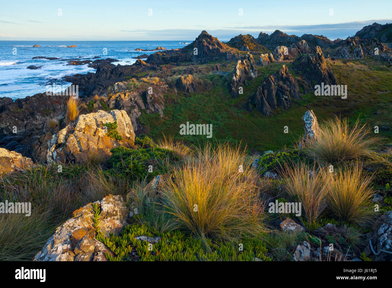 Sarah anne felsen -Fotos und -Bildmaterial in hoher Auflösung – Alamy