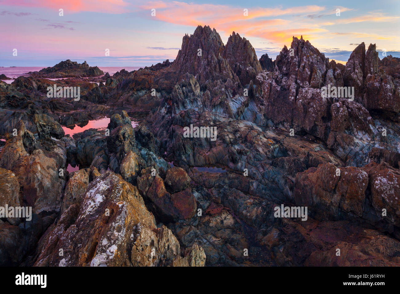 Sarah anne felsen -Fotos und -Bildmaterial in hoher Auflösung – Alamy