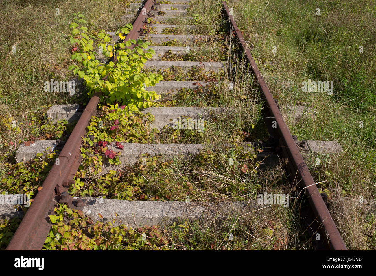 Verlassene bahngleise -Fotos und -Bildmaterial in hoher Auflösung – Alamy