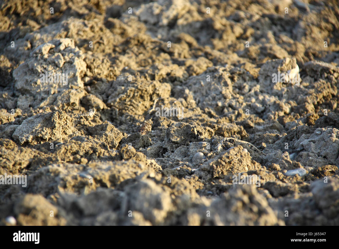 Boden Boden Erde Humus Weinbau Mutterboden Glanz strahlt helles lucent ...