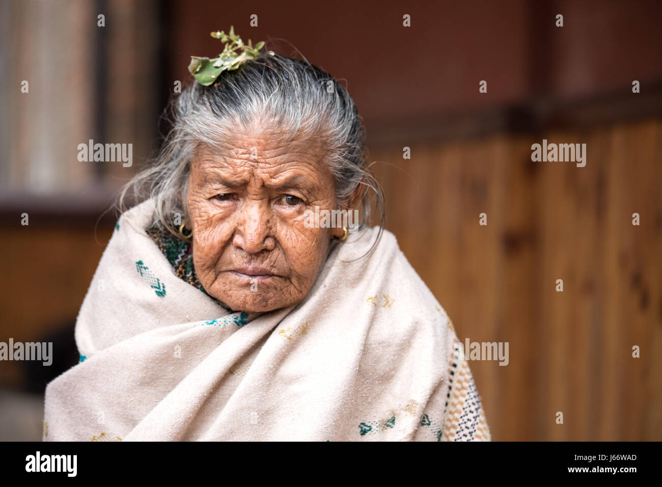Charmante alte dame -Fotos und -Bildmaterial in hoher Auflösung – Alamy