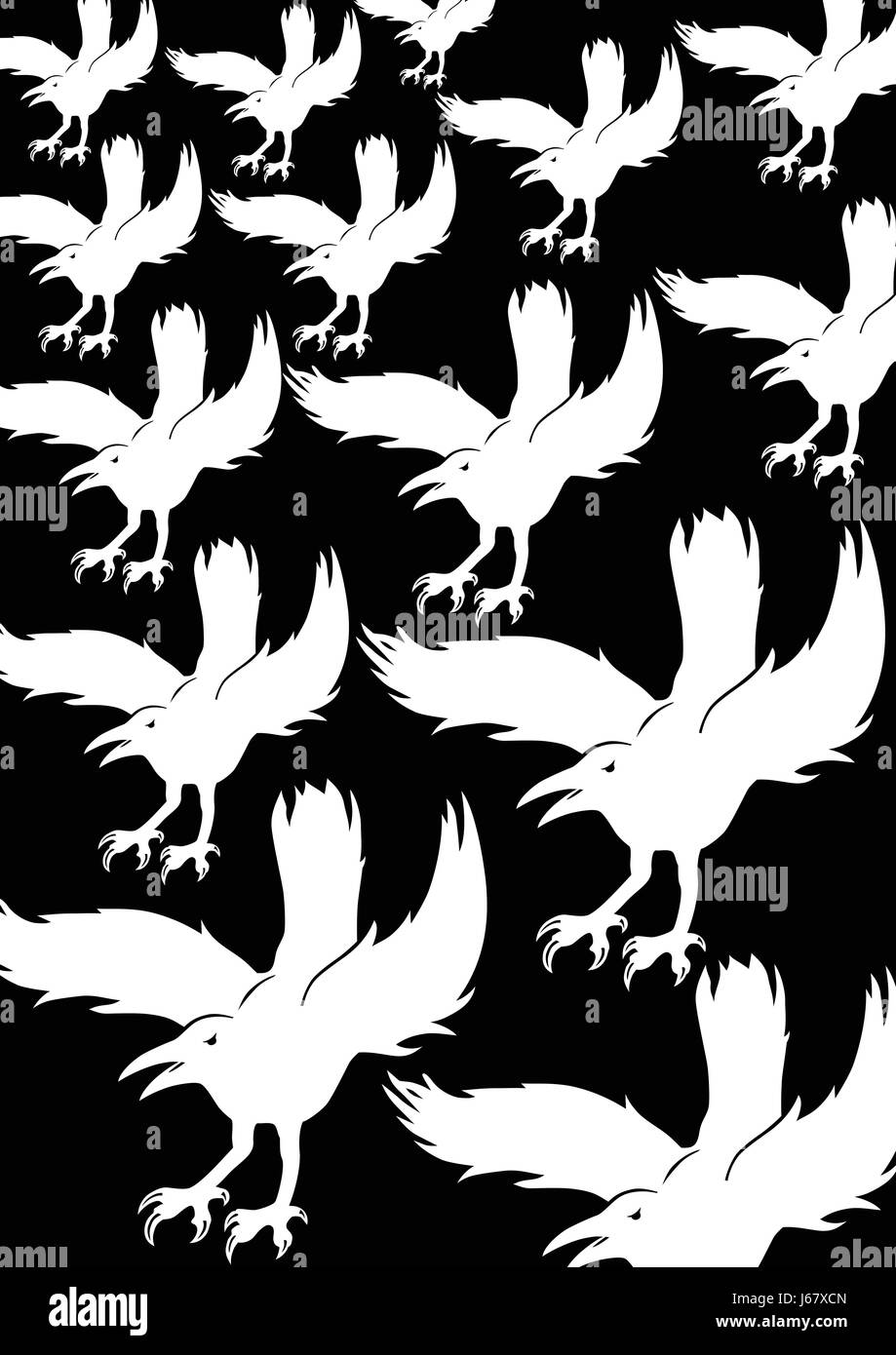 Weißer rabe -Fotos und -Bildmaterial in hoher Auflösung – Alamy