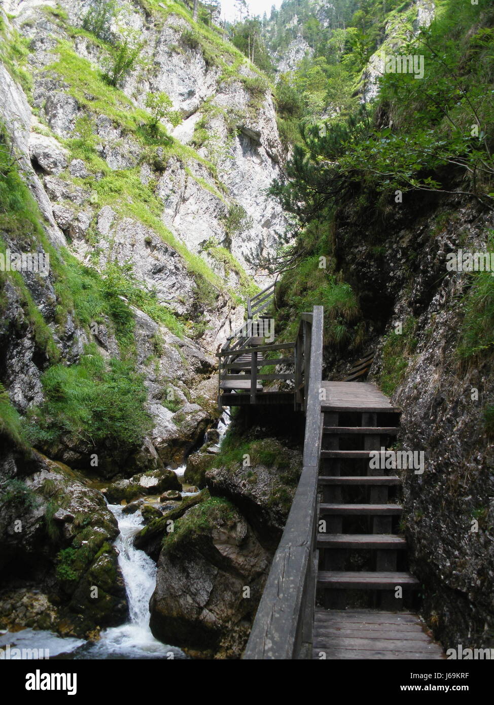 Klamm Baum Bäume grün Rock Steiermark Klamm grauen Grauwasser ...