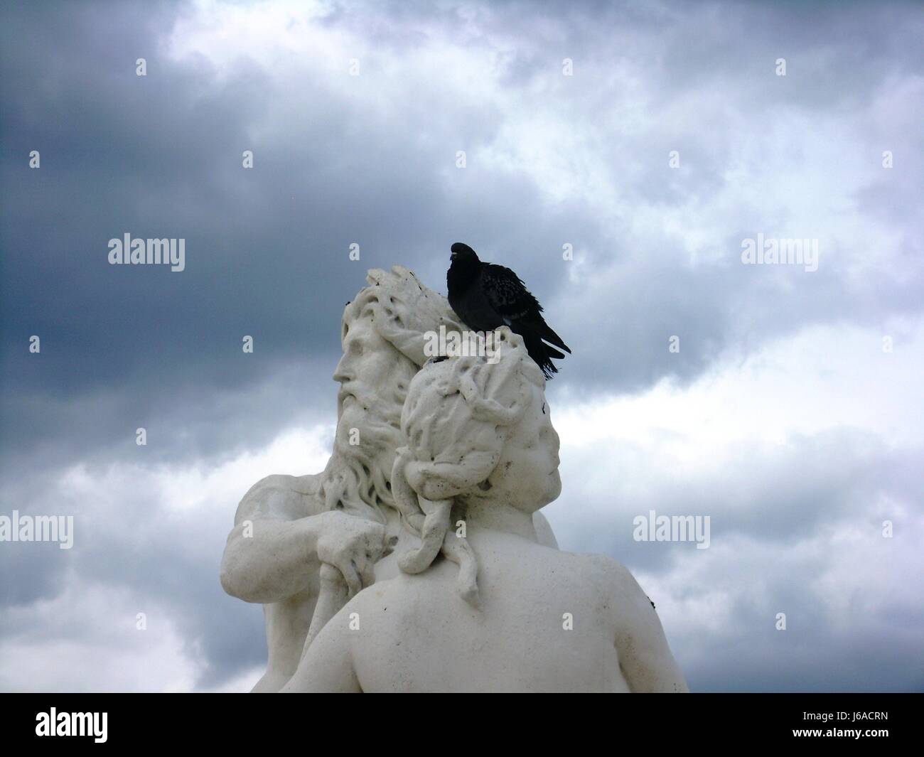 Statue, Skulptur, Taube, Park, Statue, Skulptur, Paris, Taube ...