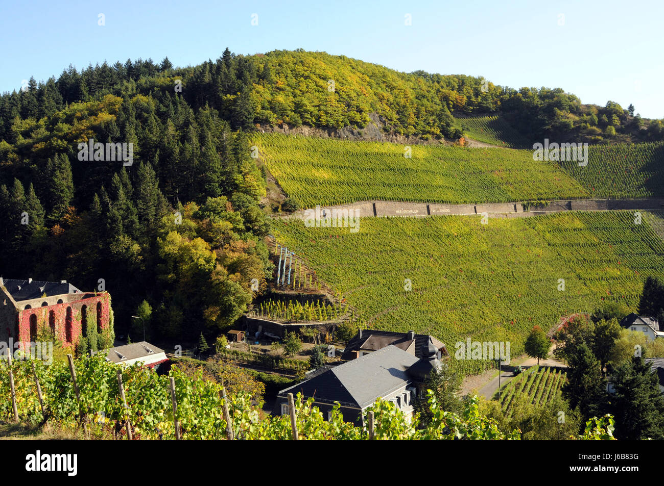 Marienthal ahr -Fotos und -Bildmaterial in hoher Auflösung – Alamy