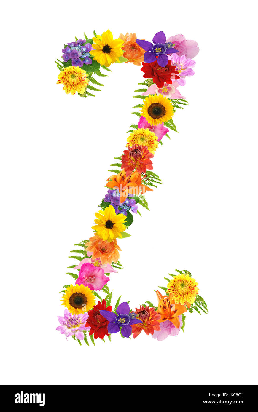 Blume Blumen Pflanzen Buchstaben Buchstaben Alphabet symbolische farbig ...