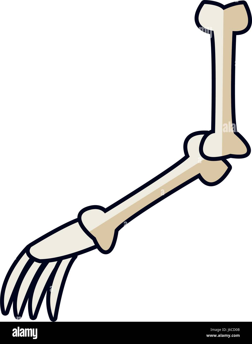 Anatomy Art Cartoon Comic Stockfotos und -bilder Kaufen - Alamy