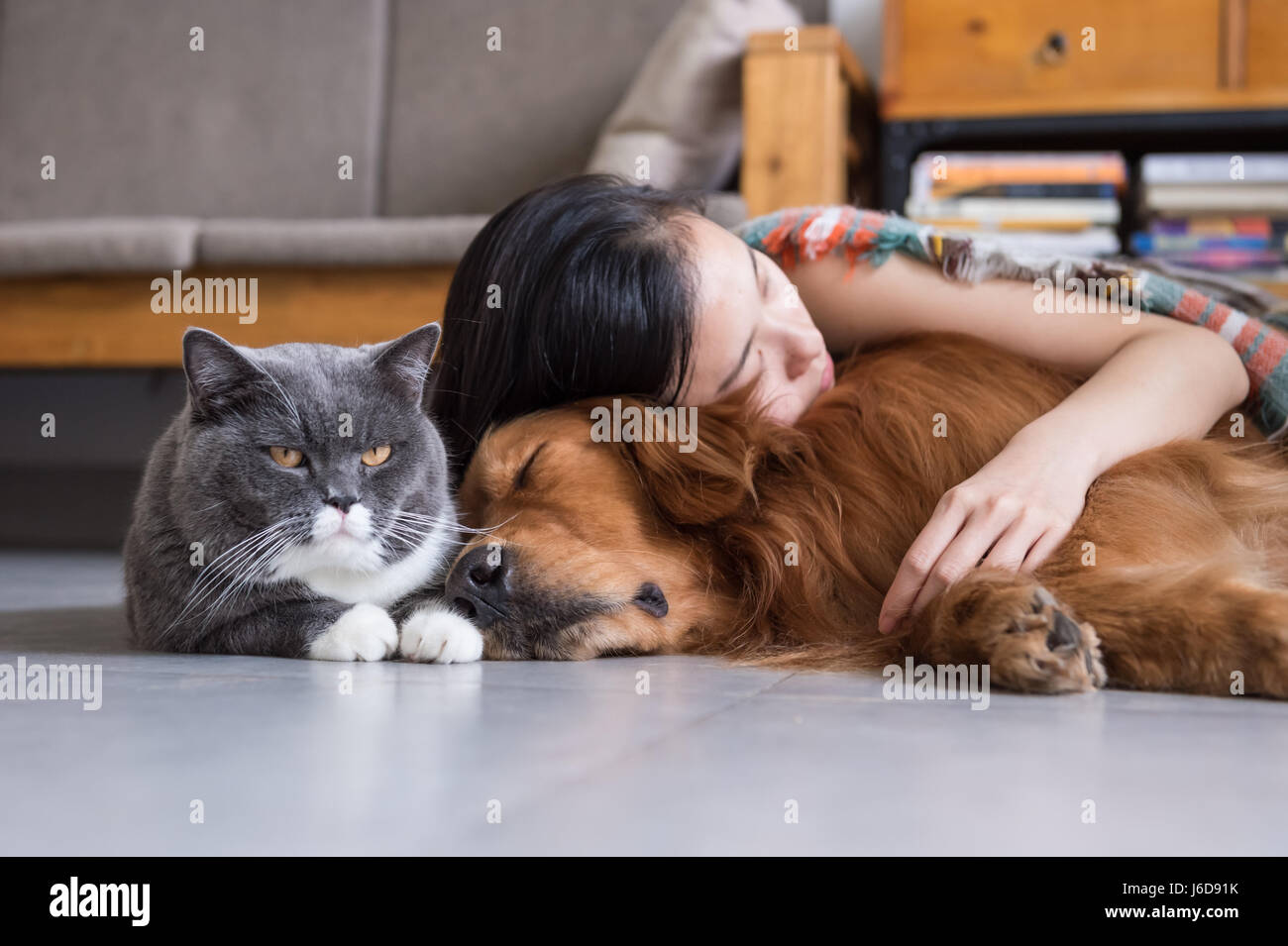 Britische hundeliebe -Fotos und -Bildmaterial in hoher Auflösung – Alamy