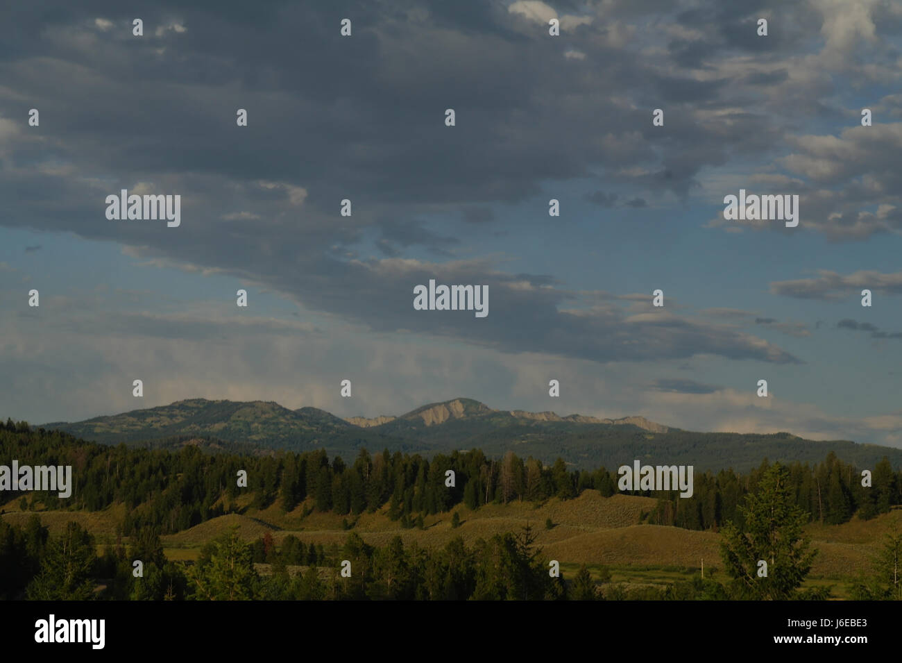 Blick von Osten bis Mount Randolph und Kies Berg, vom Mittagessen Tree ...