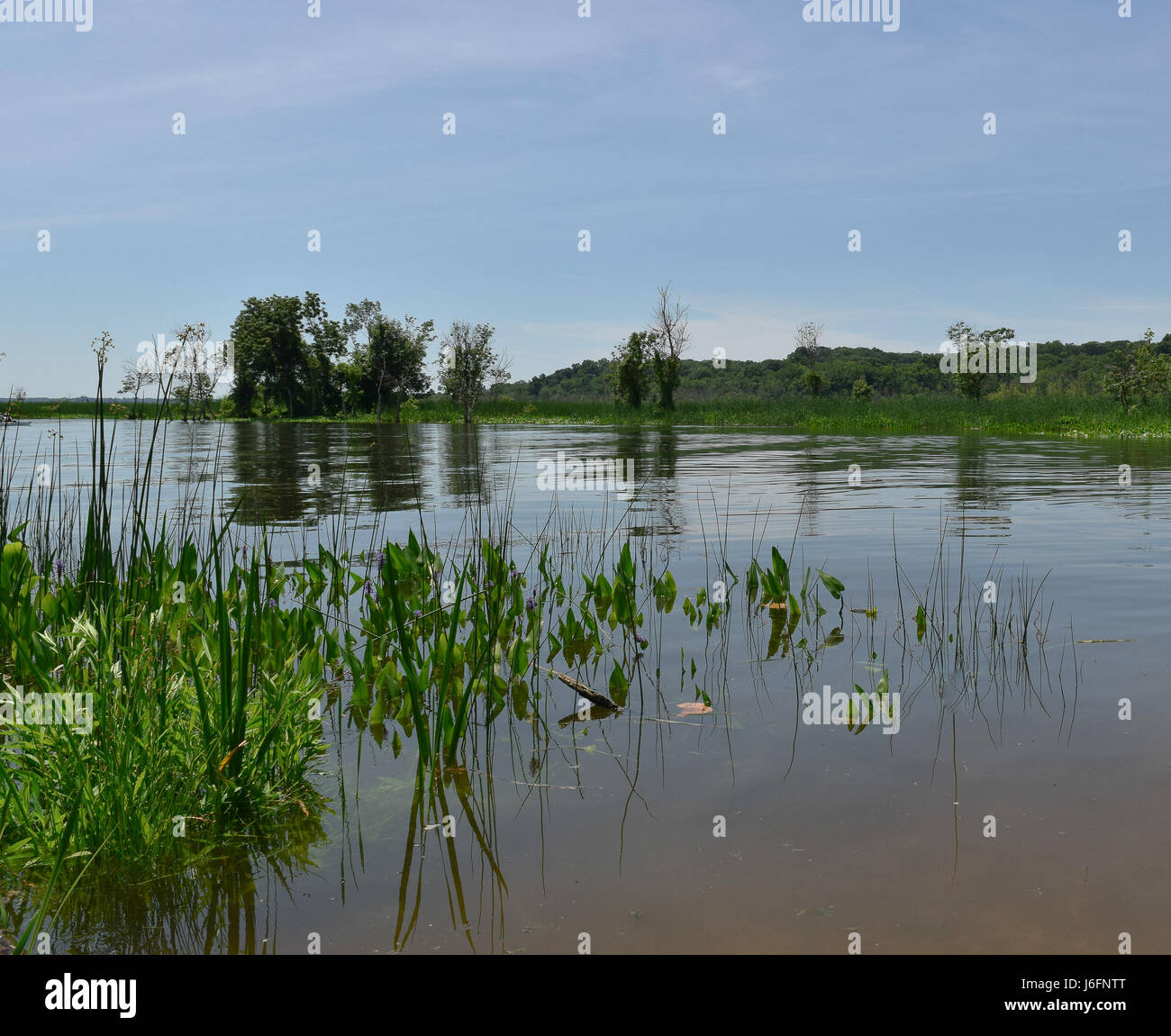 Dykes island wildlife refuge -Fotos und -Bildmaterial in hoher ...