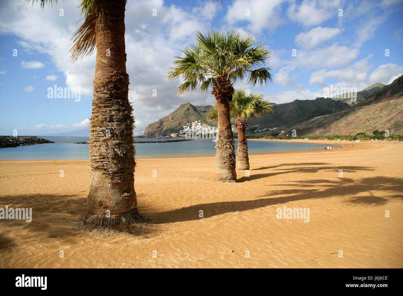 Strand Meer Strand Meer Spanien Palm Sand Sand Strand von Las teresitas ...