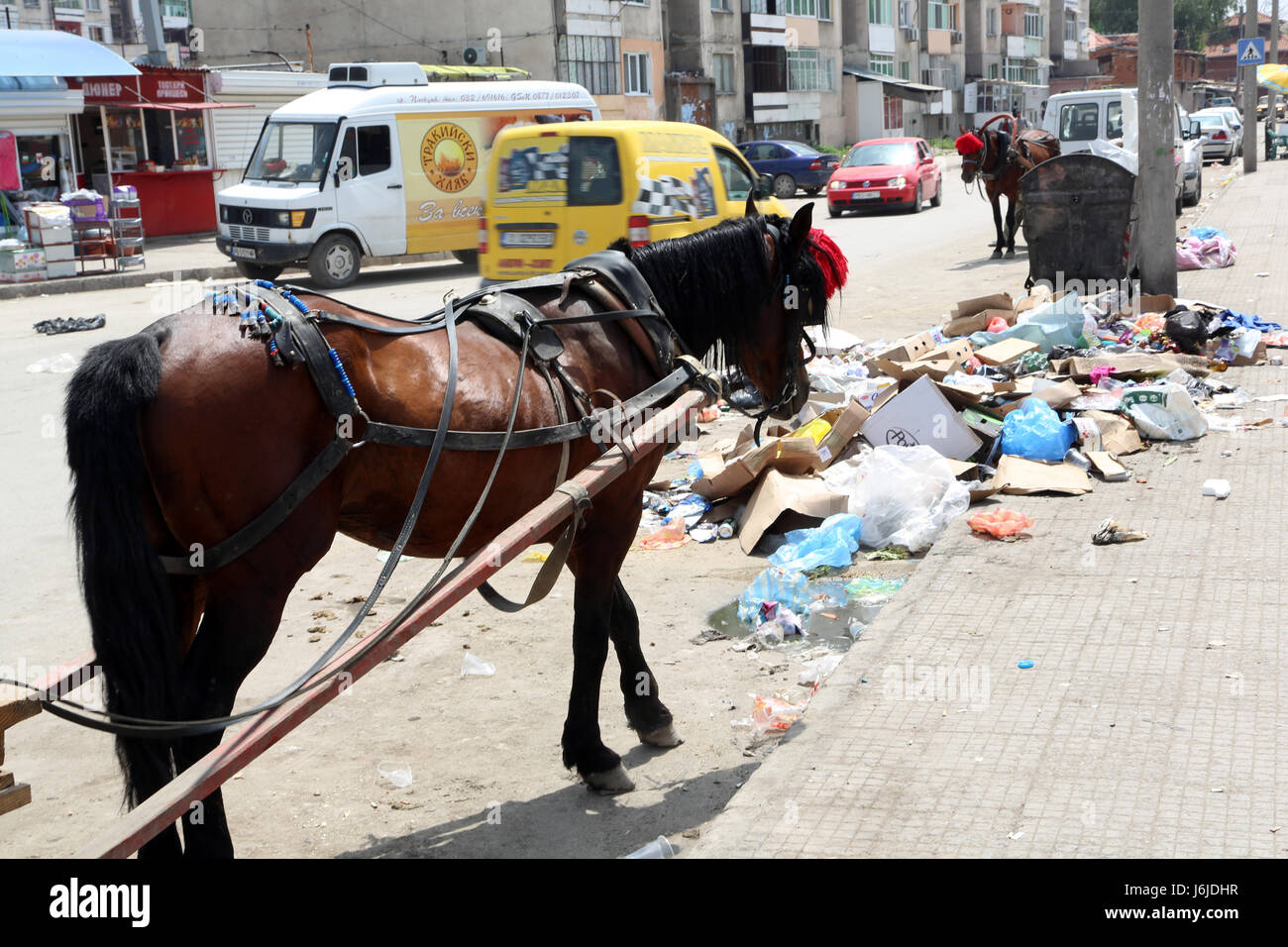 Bulgaria stolipinovo roma -Fotos und -Bildmaterial in hoher Auflösung ...