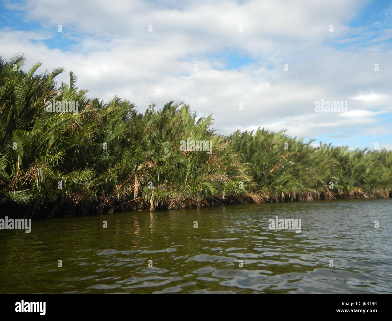 06573 Malolos Bulakan River Bezirke Panasahan San Nicolas River Banken ...