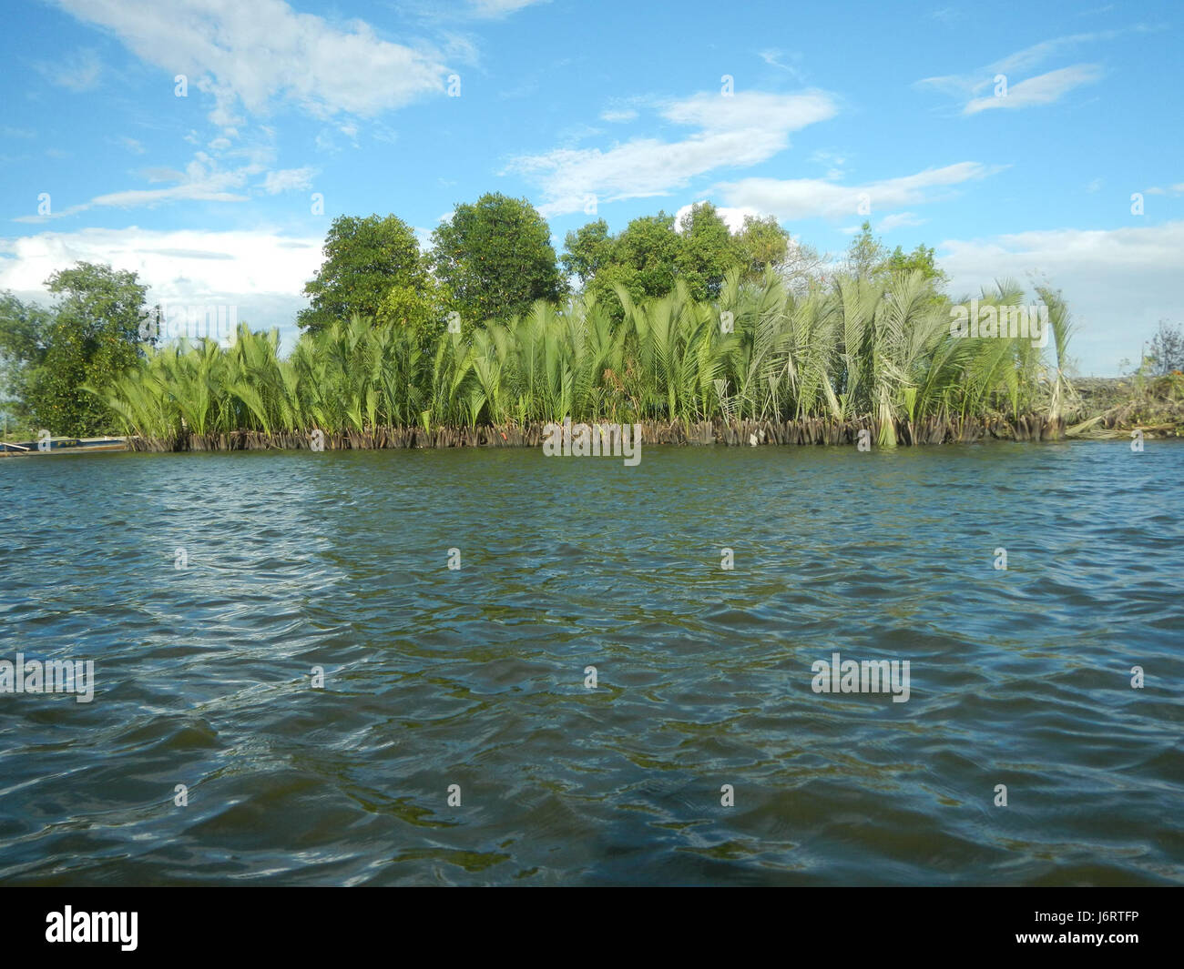 06627 Malolos Bulakan River Bezirke Panasahan San Nicolas River Banken ...