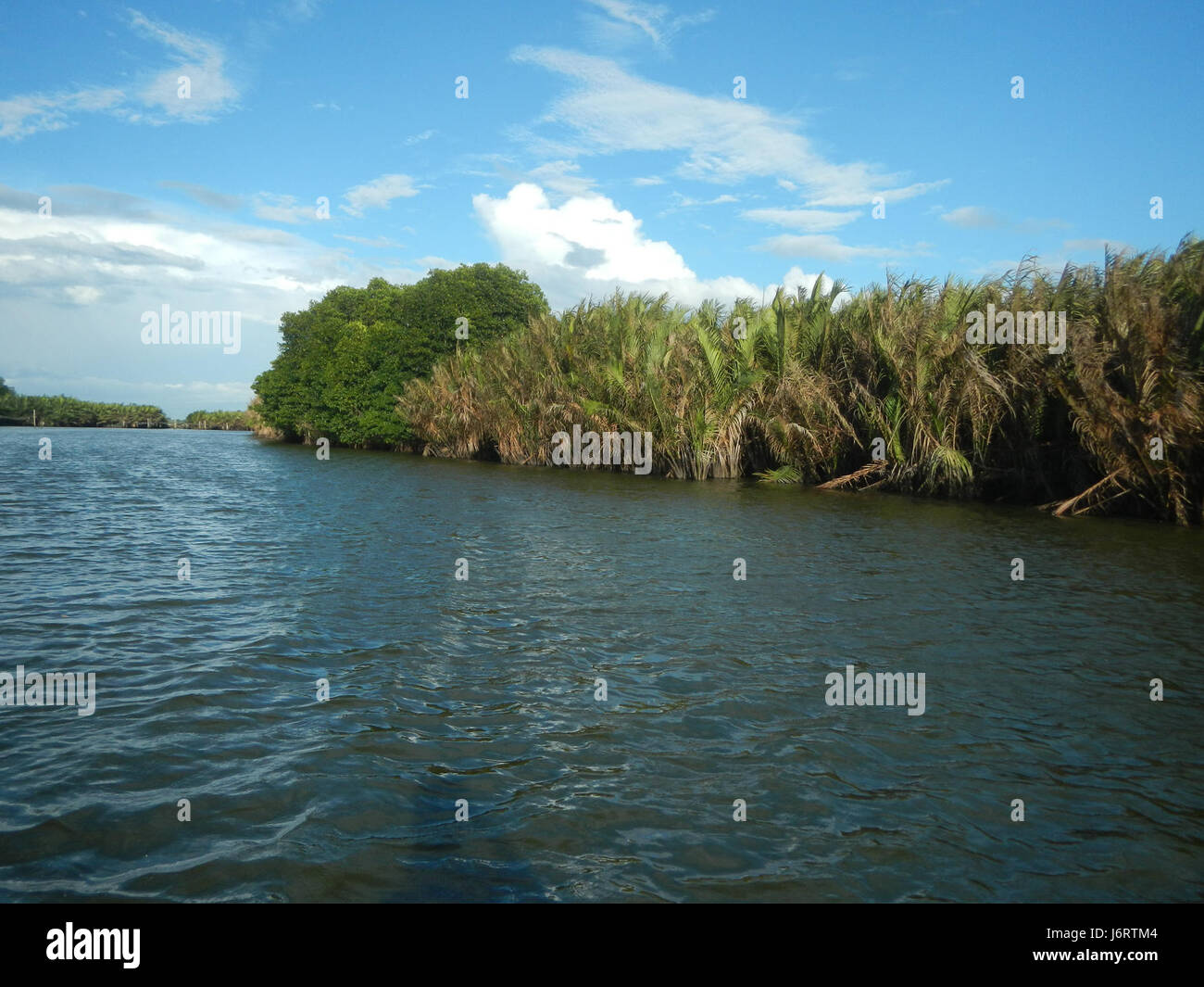 06784 Malolos Bulakan River Bezirke Panasahan San Nicolas River Banken ...