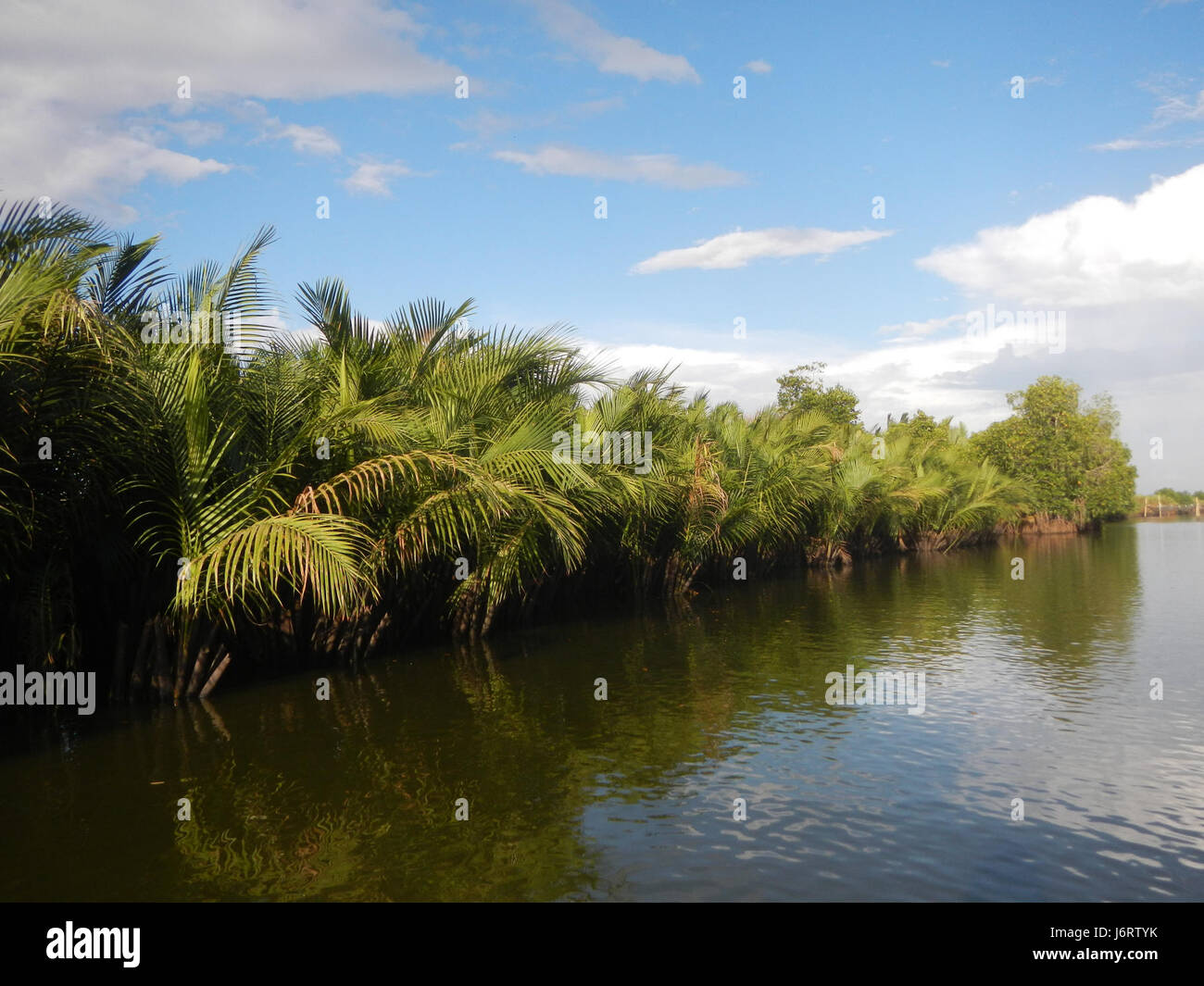 06930 Malolos Bulakan River Bezirke Panasahan San Nicolas River Banken ...