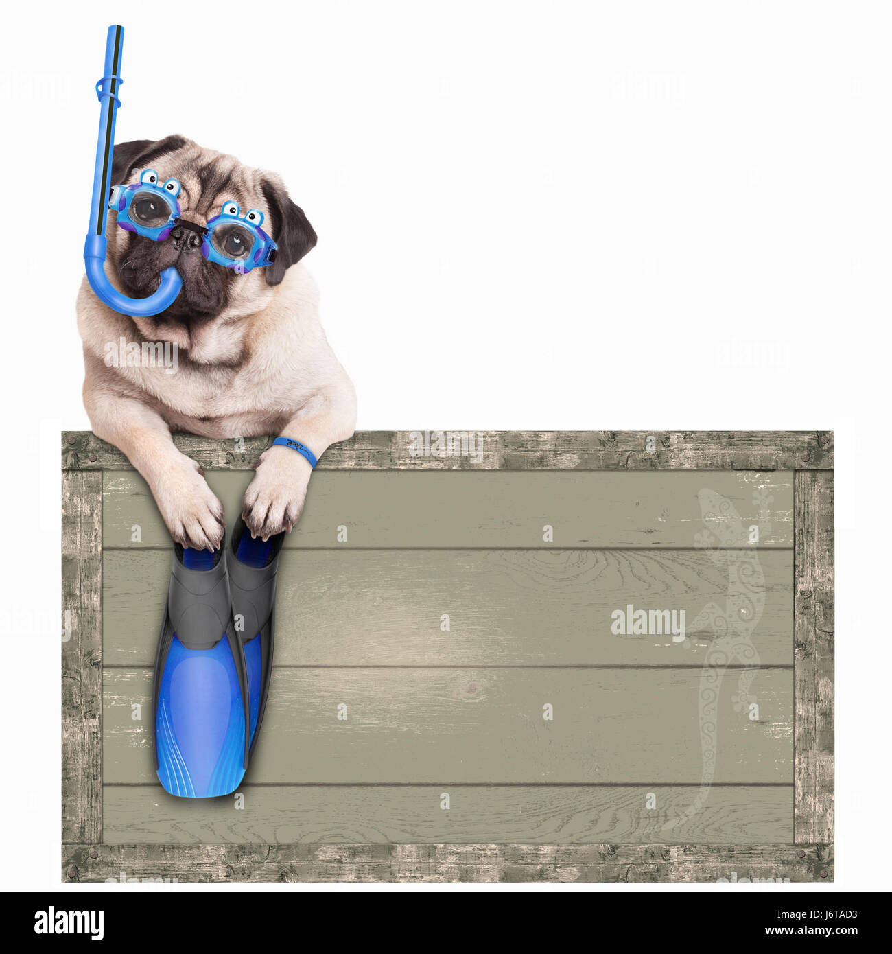 lustige Mops Hund mit blauer Vintage Holz Strand zu unterzeichnen, mit ...