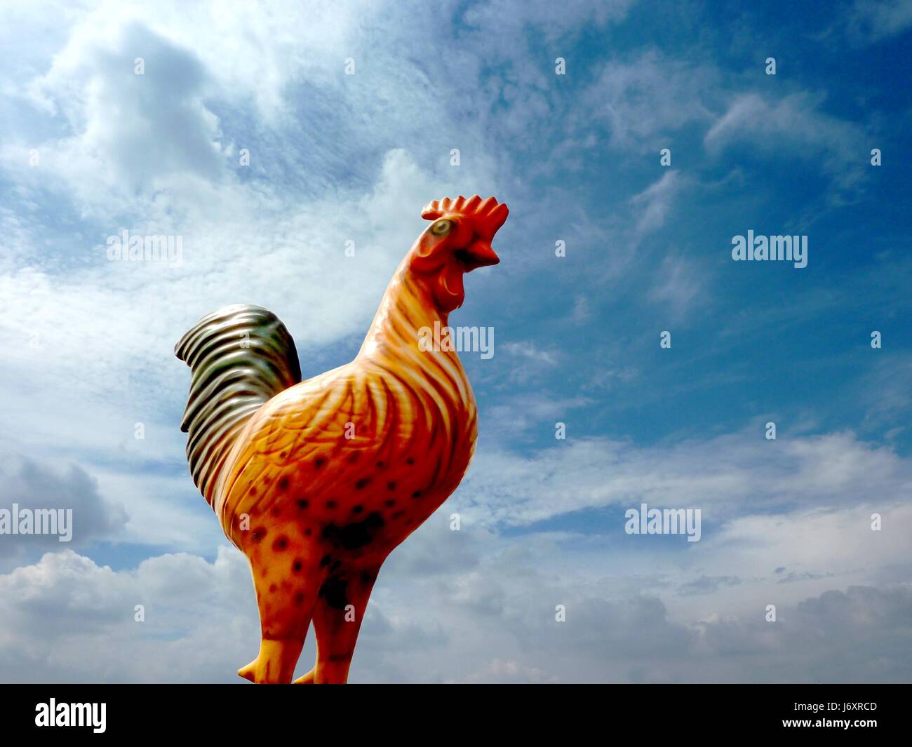 Vogel Vögel auf dem Bauernhof Hähnchen Hühnchen Hühner Hühner Hahn Hahn ...