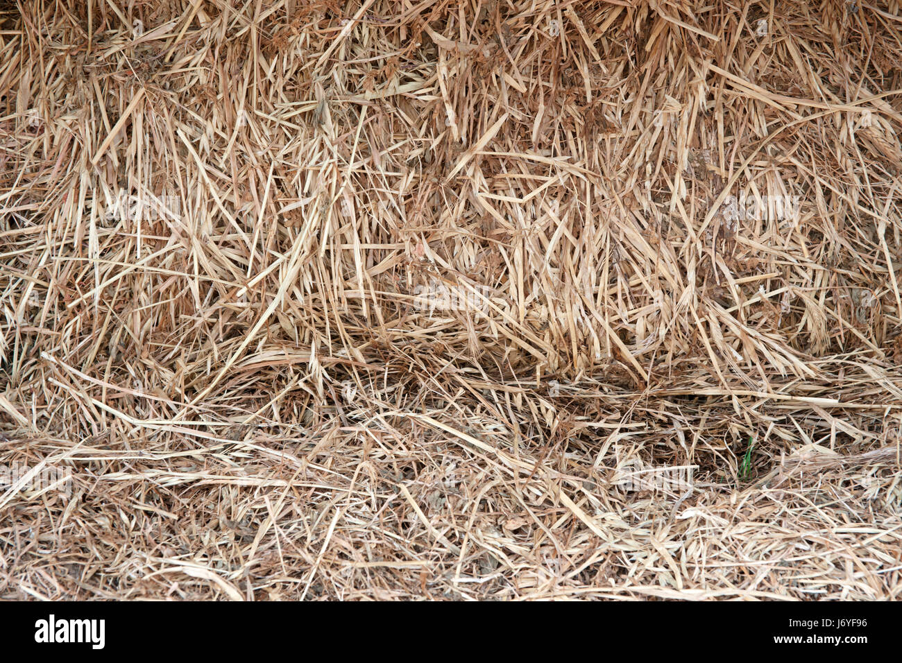 Stack Heu Haufen Haufen Stroh Futter Landwirtschaft Landwirtschaft ...