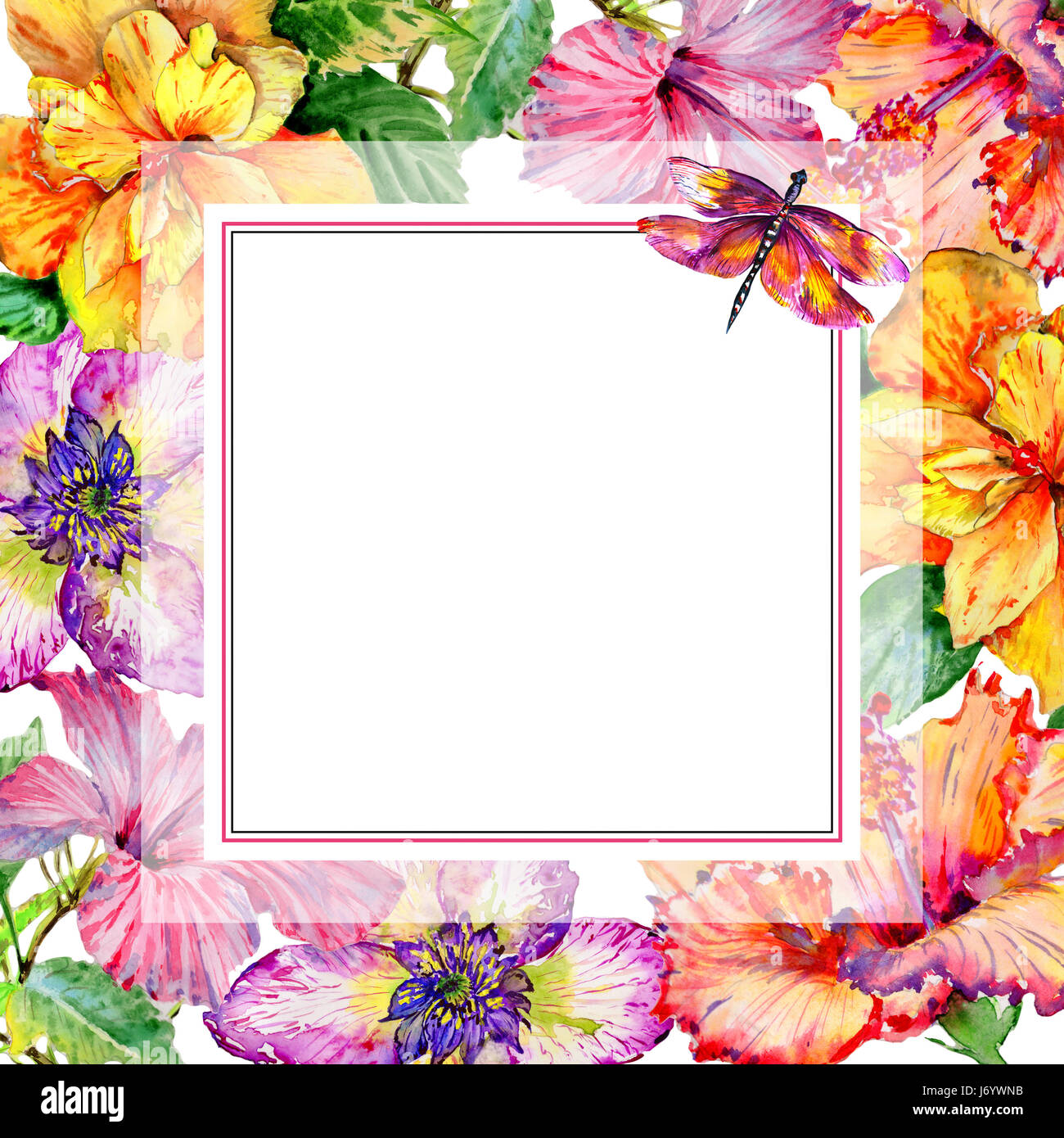 Wildflower Hibiskus Blumenrahmen im Aquarell-Stil isoliert. Aquarell ...