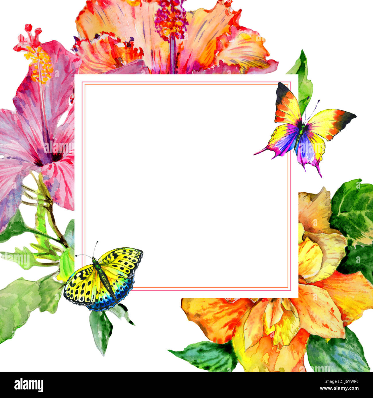 Wildflower Hibiskus Blumenrahmen im Aquarell-Stil isoliert. Aquarell ...