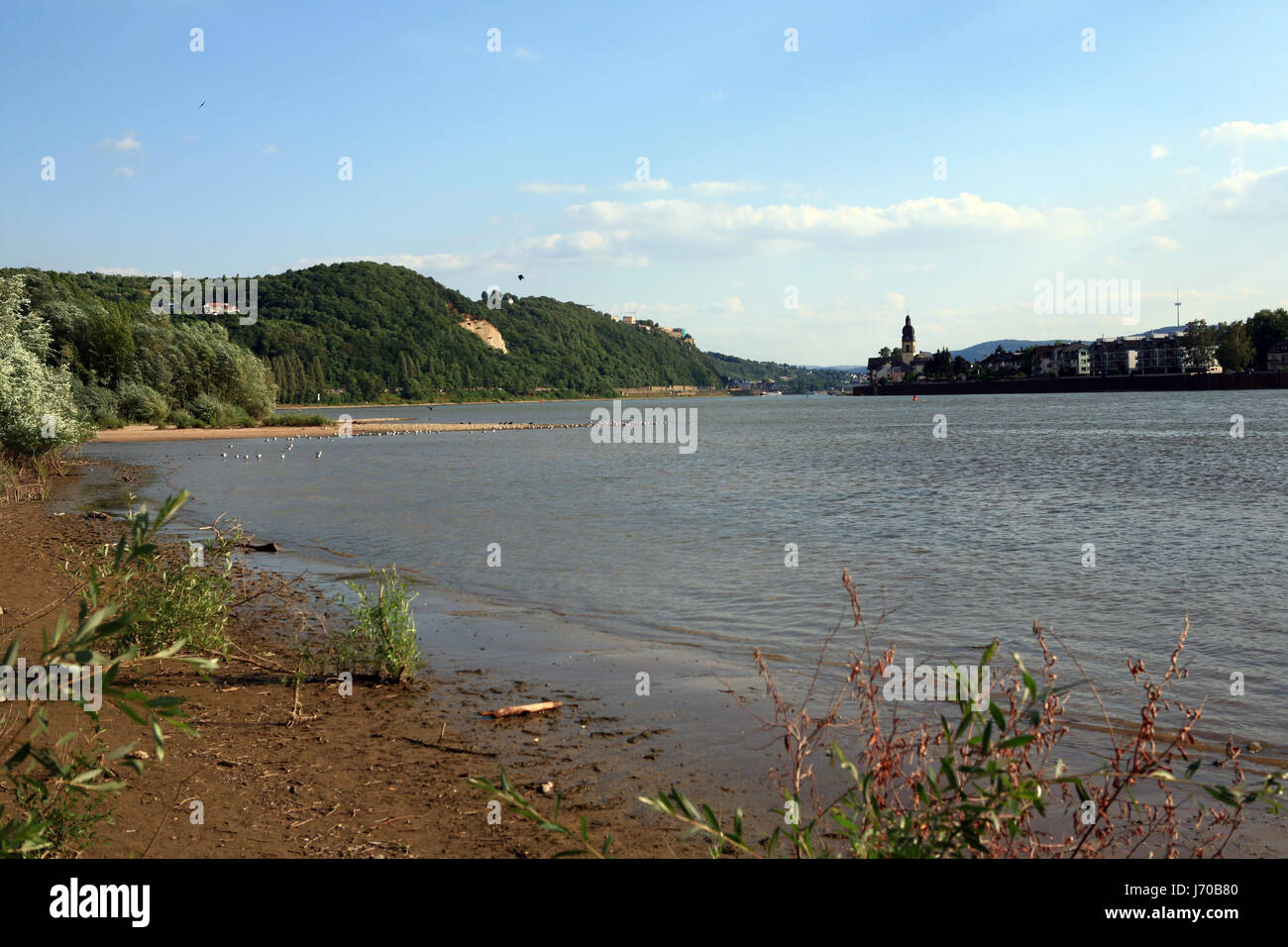 Rheininsel niederwerth -Fotos und -Bildmaterial in hoher Auflösung – Alamy