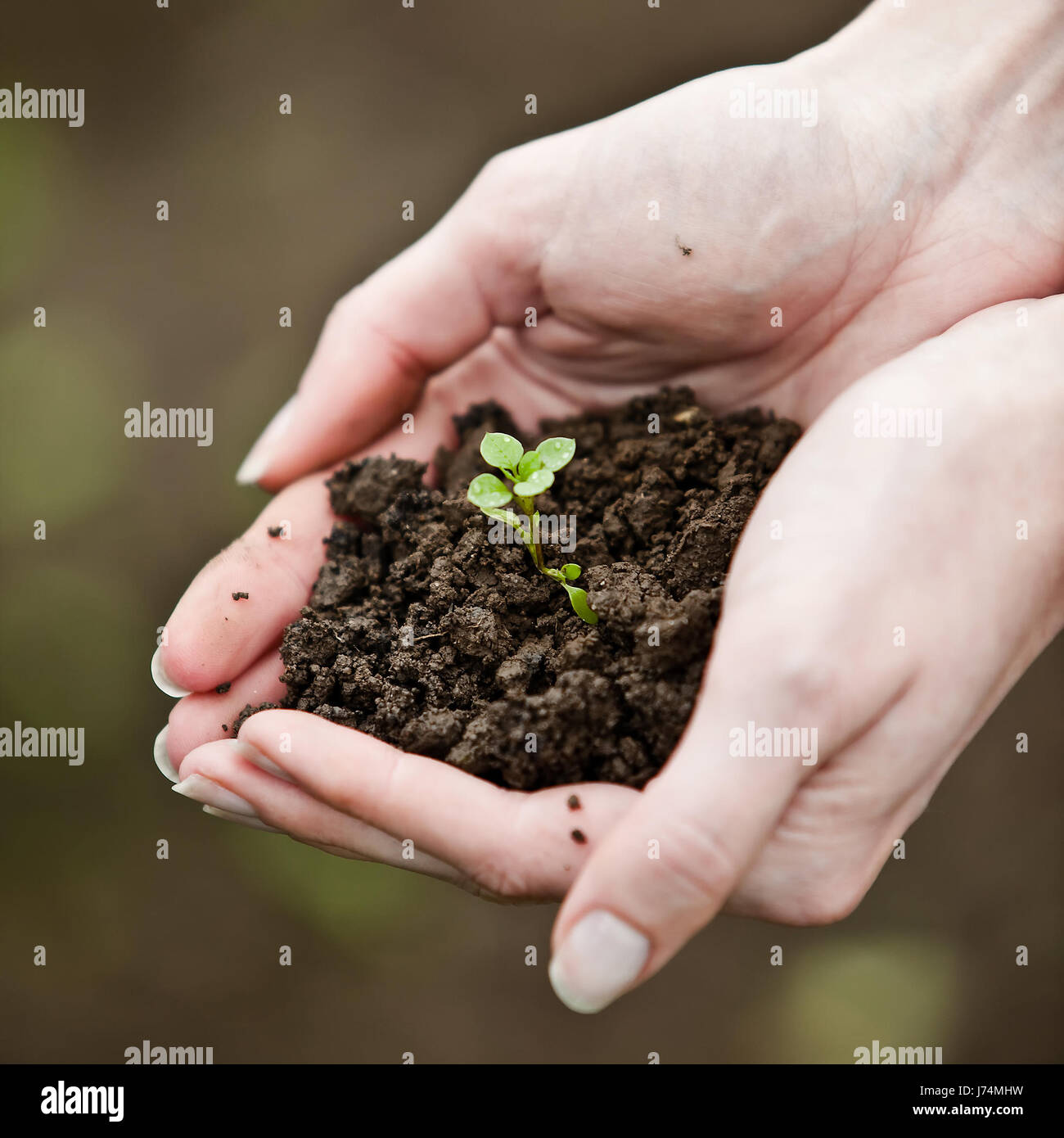 Besitz hält jung Jünger Piktogramm Symbol Piktogramm Handel Symbol ...