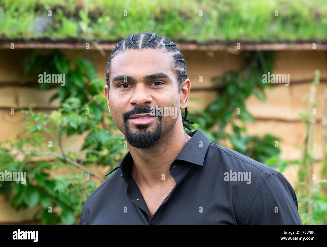 Wba Boxweltmeister Stockfotos und -bilder Kaufen - Alamy