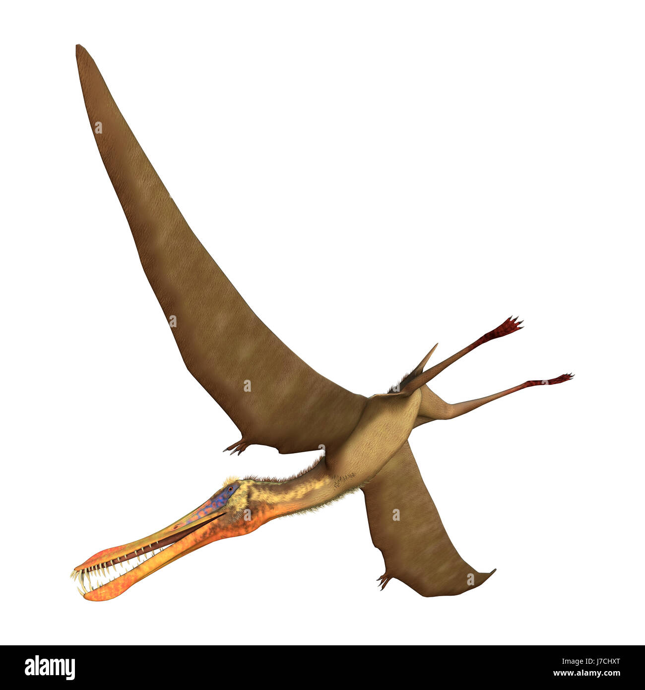 Pterodactyloid pterosaur -Fotos und -Bildmaterial in hoher Auflösung ...