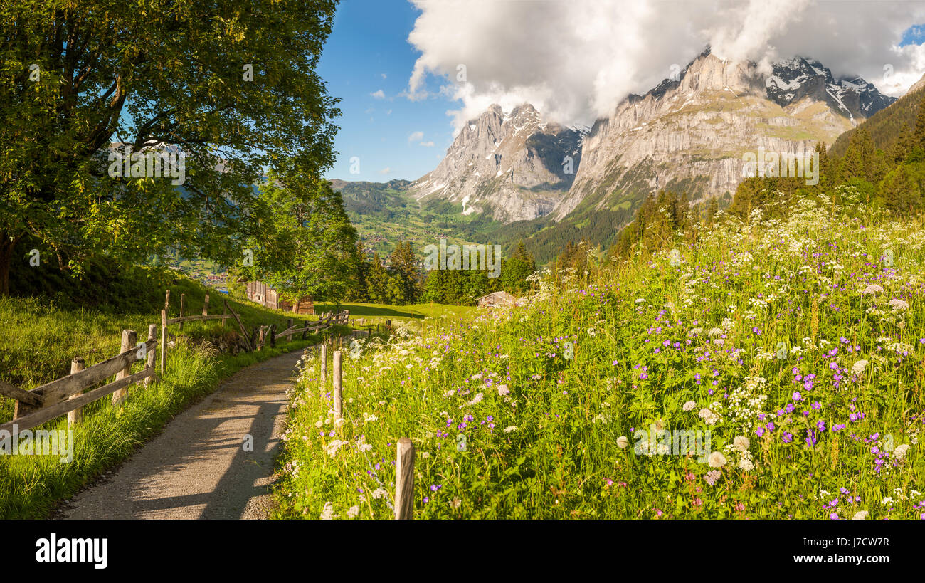 Wiesen und blumen -Fotos und -Bildmaterial in hoher Auflösung – Alamy