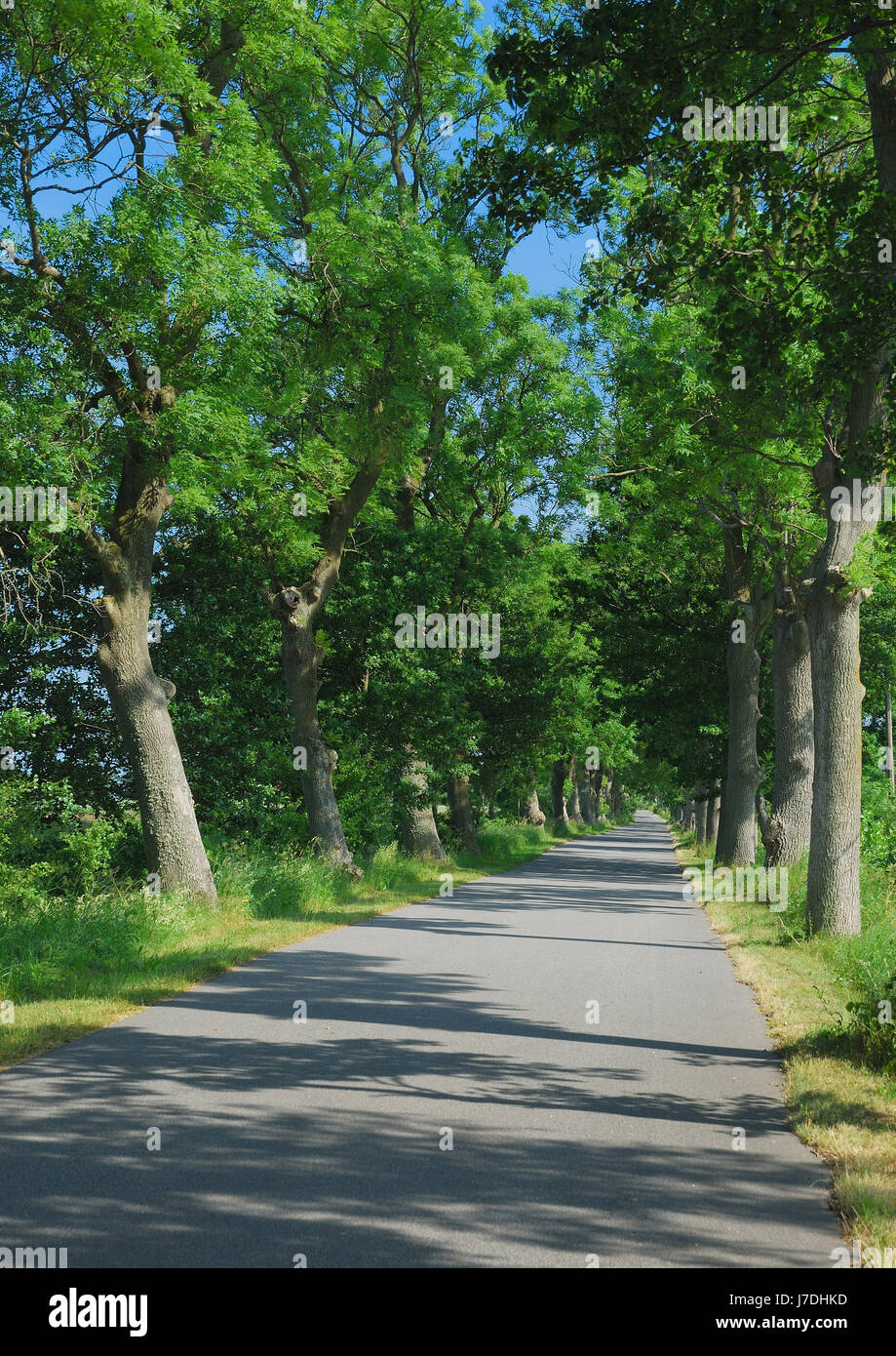 Deutsche Alleenstrasse Stockfotos und -bilder Kaufen - Alamy