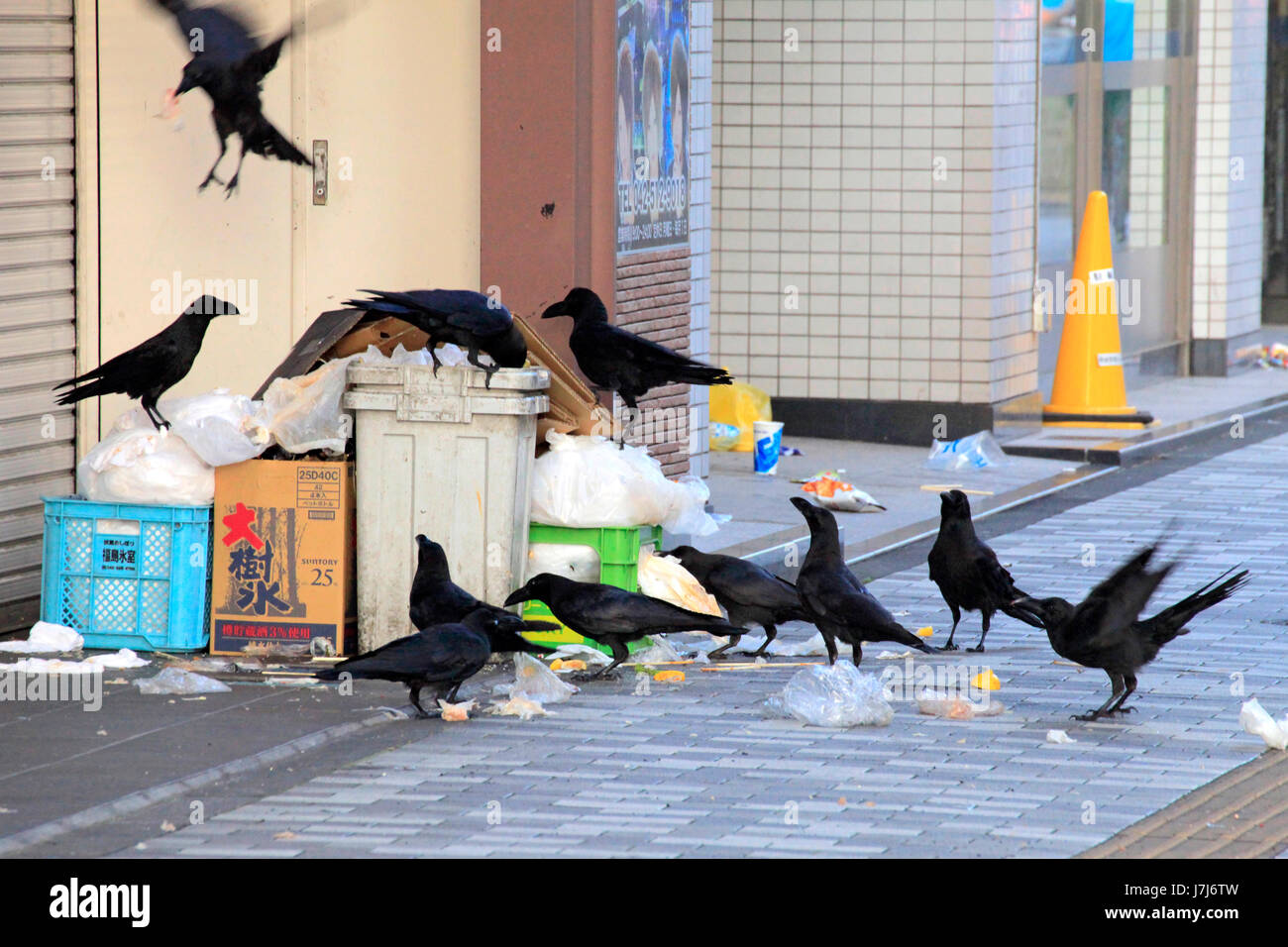 Garbage collection in tokyo japan -Fotos und -Bildmaterial in hoher ...