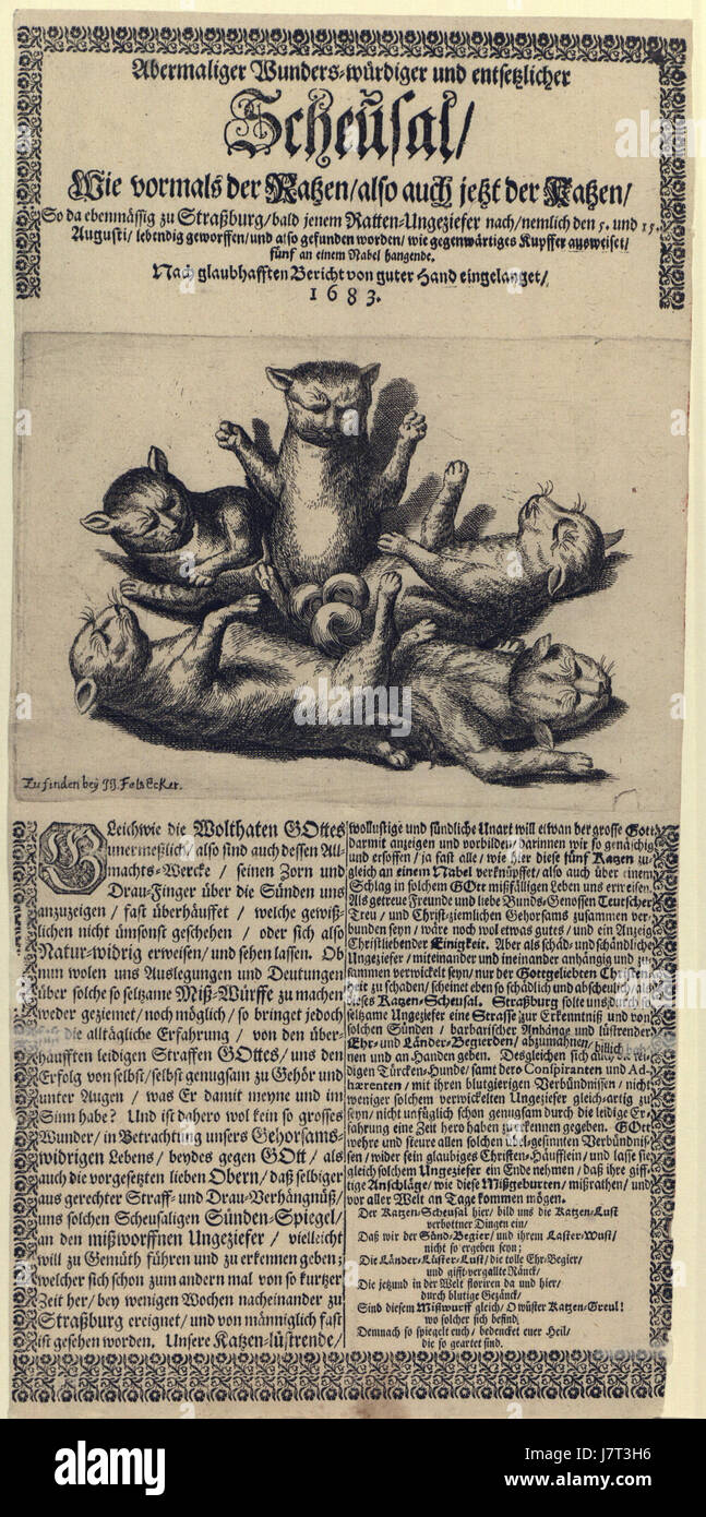 Abermaliger Scheusal Wie Unternehmenslenkers der Ratzen auch Auch Jetzt ...