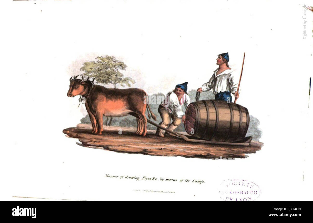 Dieser historische Text *A History of Madeira*, der 1821 veröffentlicht ...