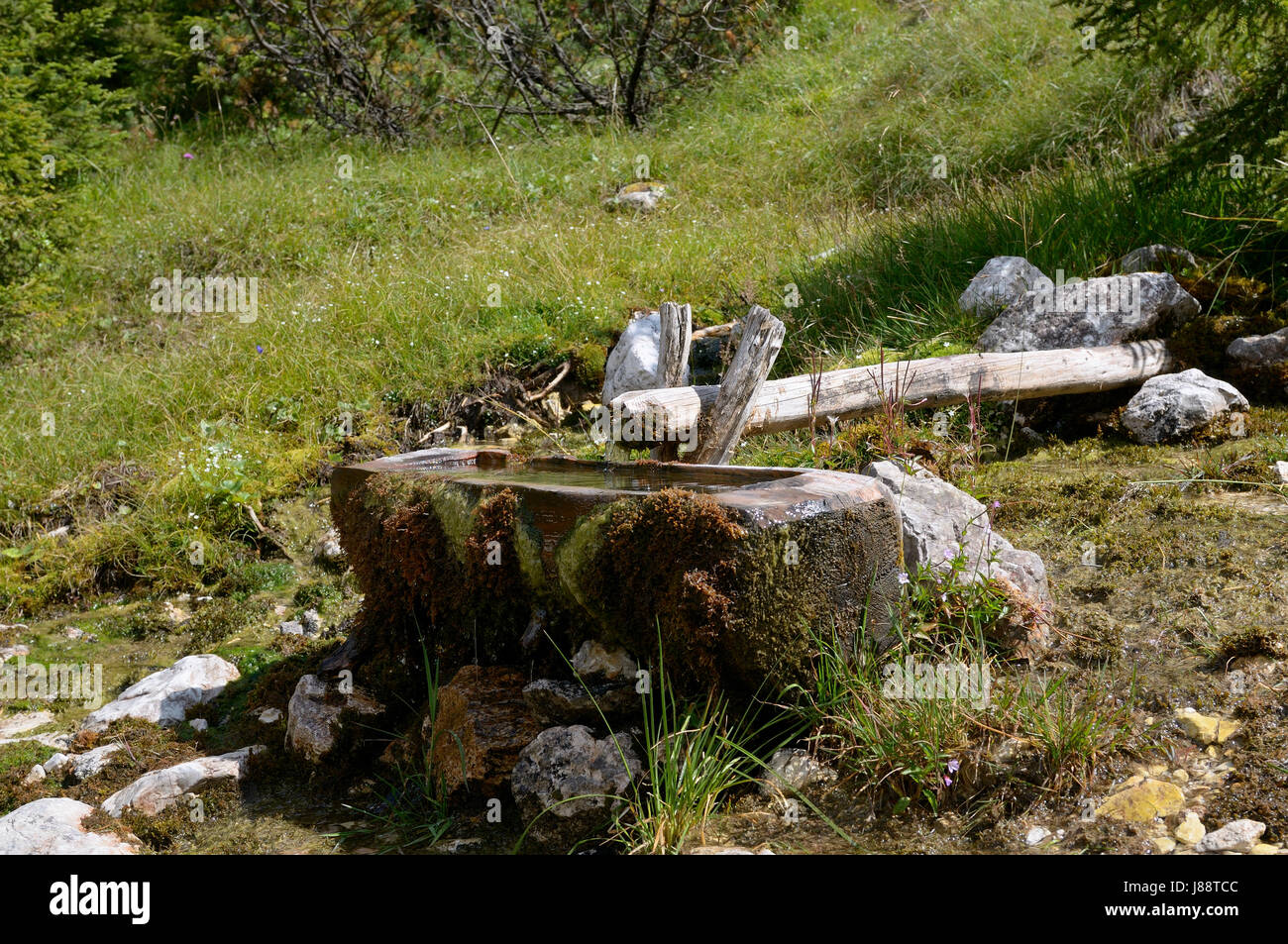 Alp, Brunnen, Trog, Wasser, Berge, Wanderung, Wandern, Wanderung, Alm ...