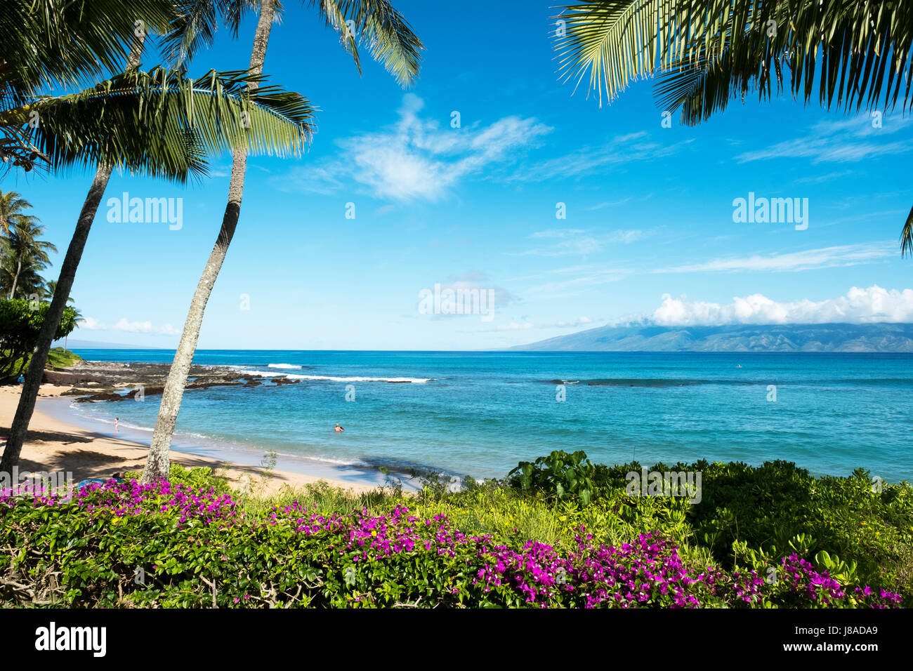 Hawaiian islands -Fotos und -Bildmaterial in hoher Auflösung – Alamy