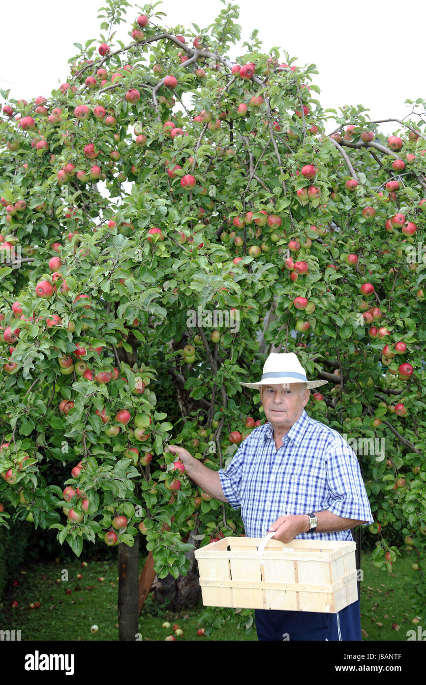 Garten, Ruhestand, Gärten, Rentner, Rentner, Rentner, Ruhestand ...