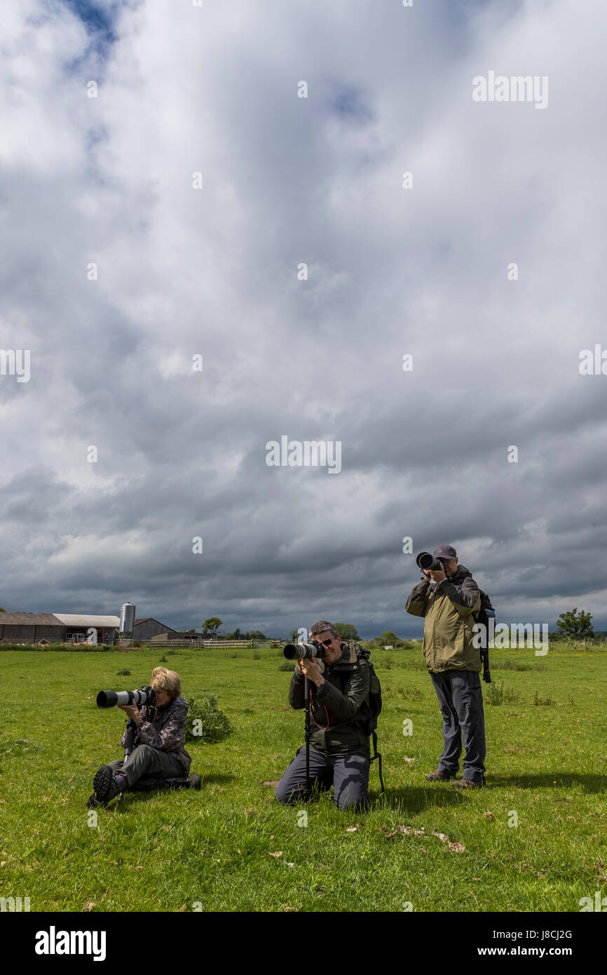 David broadbent fotografie -Fotos und -Bildmaterial in hoher Auflösung ...