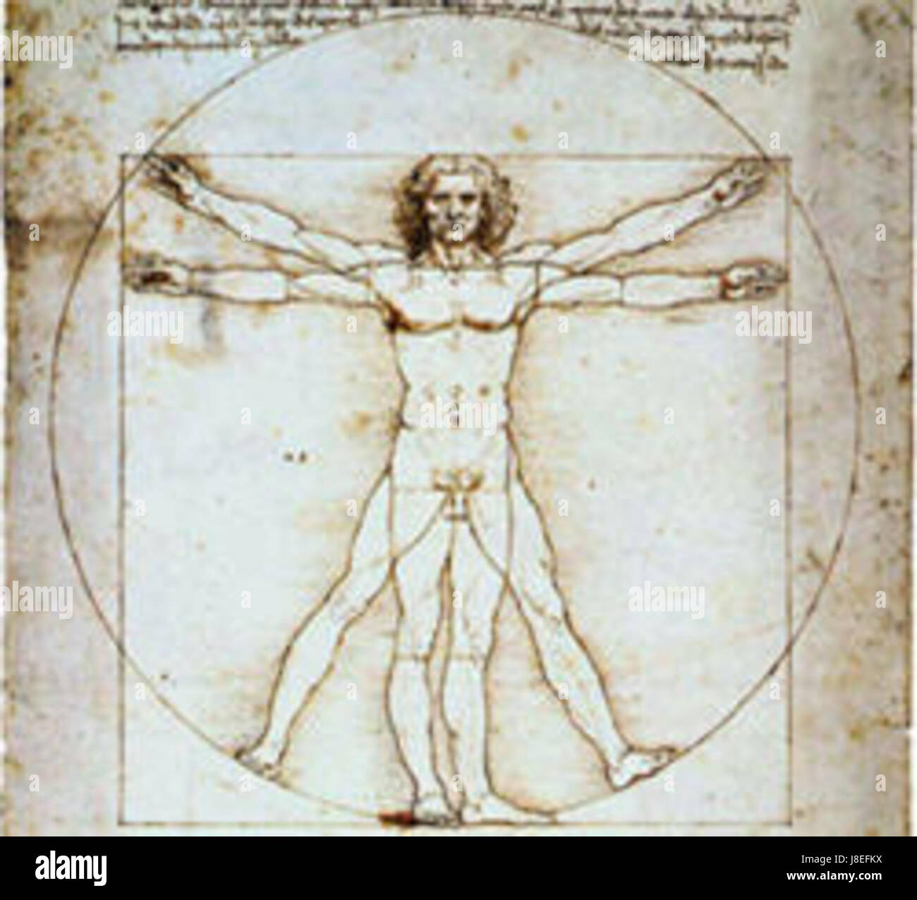 Vitruve homme -Fotos und -Bildmaterial in hoher Auflösung – Alamy