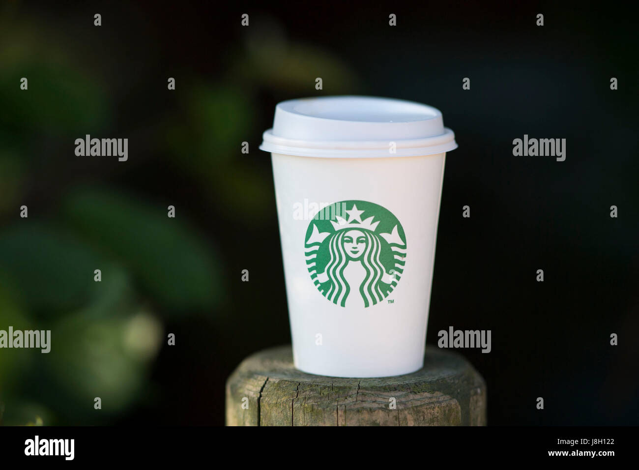 Verwunderlich Starbucks Tasse Grn Fotos