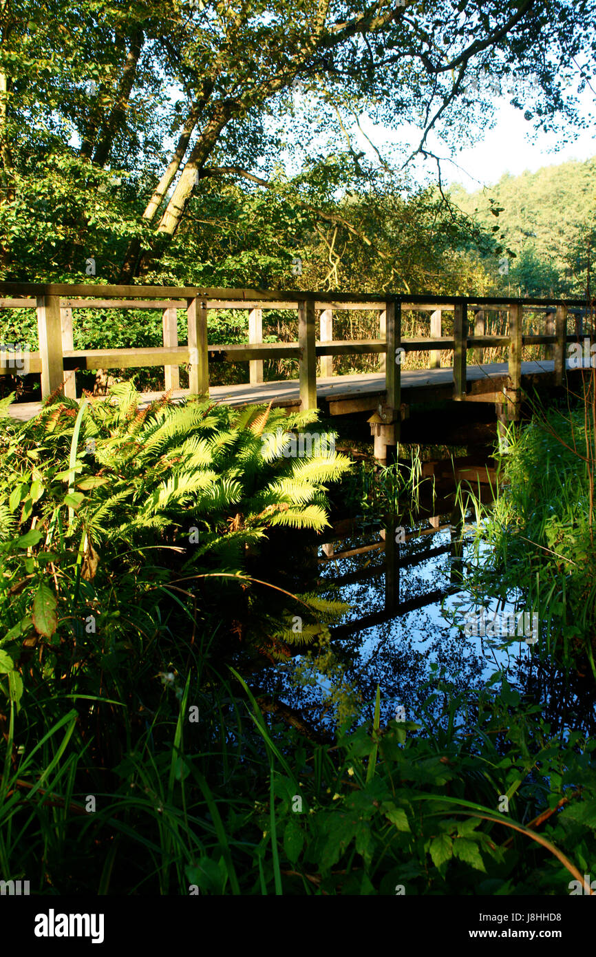 Idylle am bach -Fotos und -Bildmaterial in hoher Auflösung – Alamy