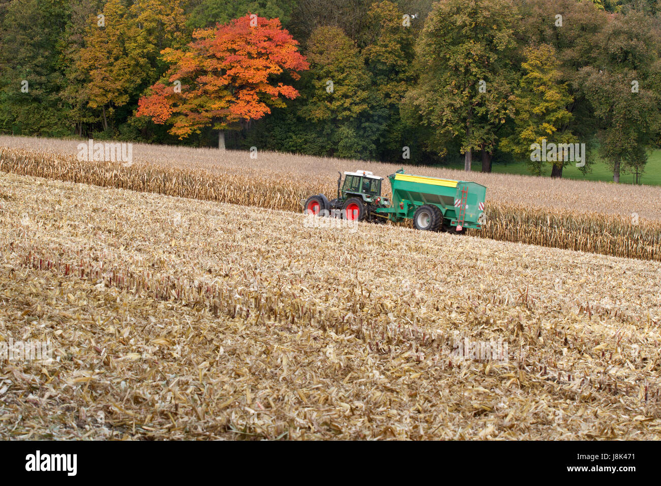 Landwirtschaft, Futter, Mais, Landwirtschaft, Traktor, Ernte, Herbst ...