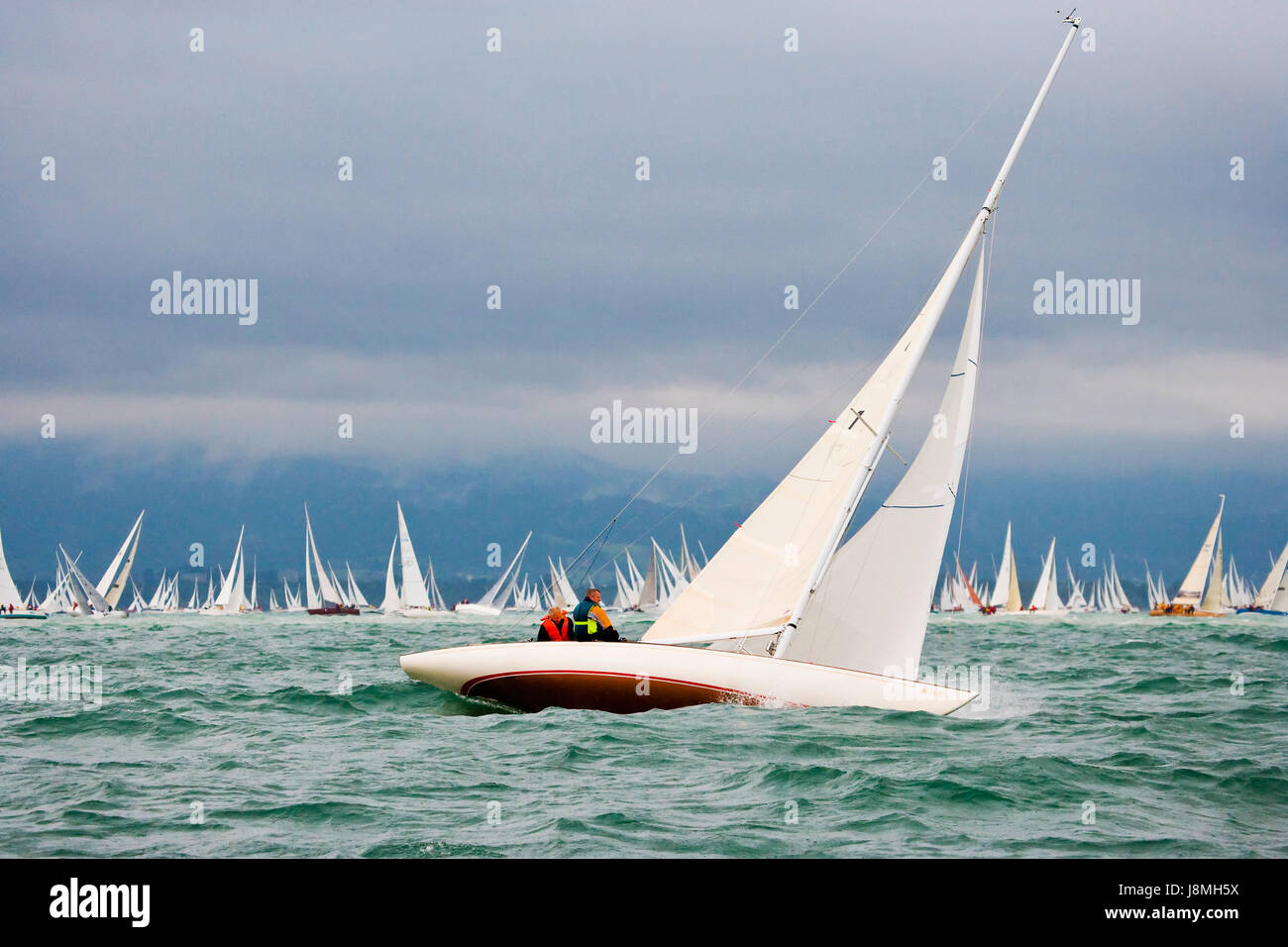 Bodensee regatta -Fotos und -Bildmaterial in hoher Auflösung – Alamy